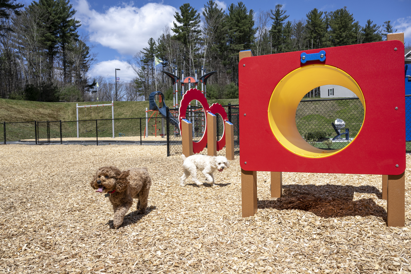 Halstead Holden Holden, MA | Welcome Home